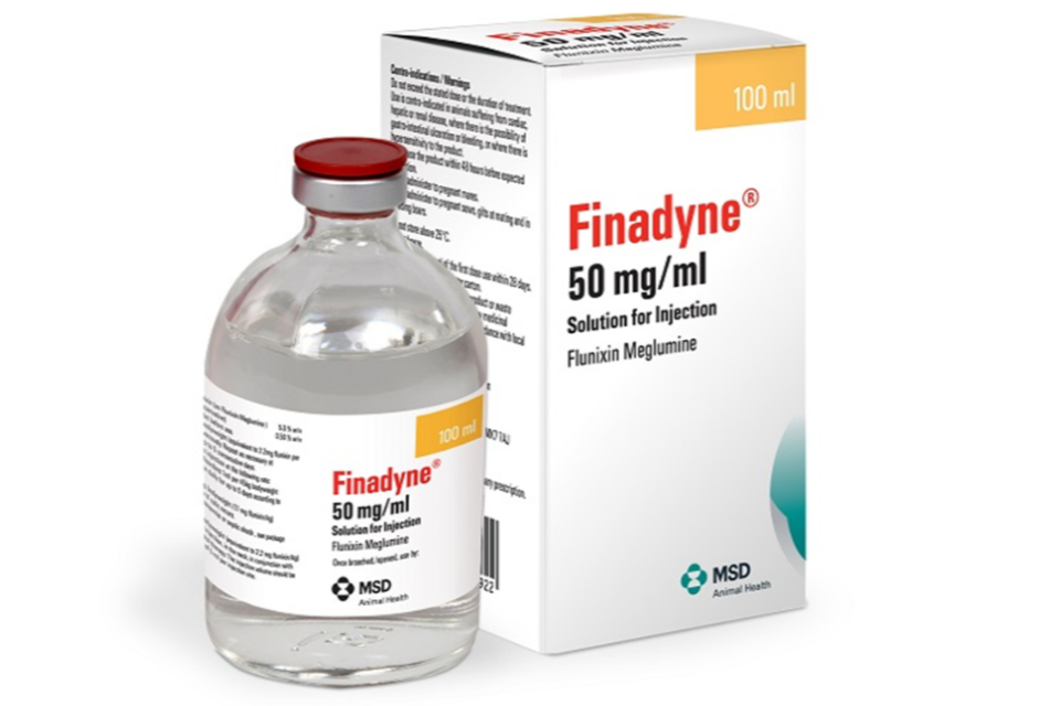Finadyne for Horses | Pet Health Direct